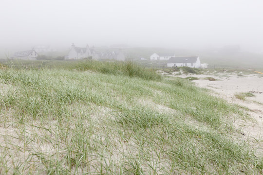 Harr Bilder – Durchsuchen 58 Archivfotos, Vektorgrafiken und Videos ...