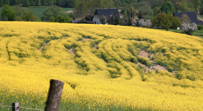 รูปภาพRapssaat – เลือกดูภาพถ่ายสต็อก เวกเตอร์ และวิดีโอ93 | Adobe Stock