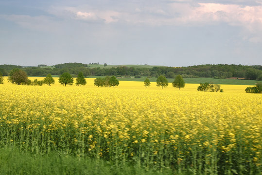 รูปภาพRapssaat – เลือกดูภาพถ่ายสต็อก เวกเตอร์ และวิดีโอ93 | Adobe Stock