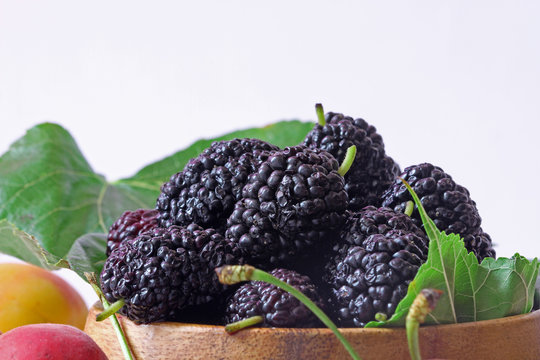 「Karadut」の写真素材 | 12件の無料イラスト画像 | Adobe Stock