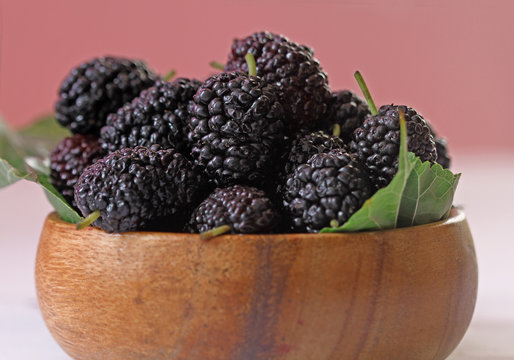 รูปภาพKaradut – เลือกดูภาพถ่ายสต็อก เวกเตอร์ และวิดีโอ12 | Adobe Stock