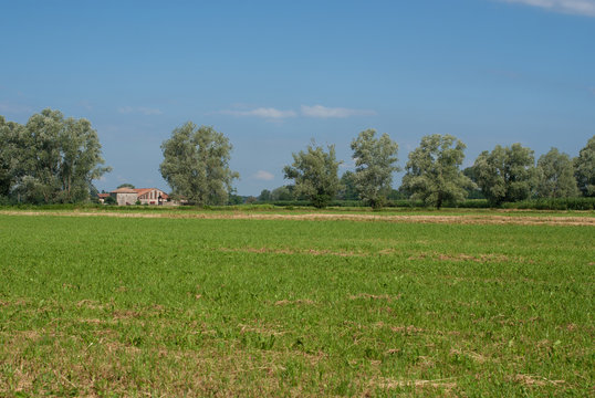 "Campi Coltivati"-Bilder: Stock-Fotos & -Videos. | Adobe Stock