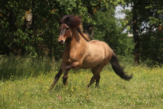「Falbe」の画像 - 948 件の Stock 写真、ベクターおよびビデオ | Adobe Stock
