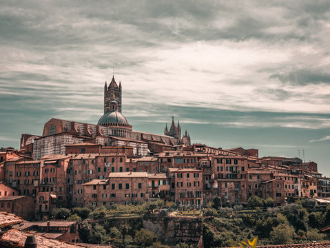 Sienne Зображення — огляд 1,980 Стокові фото, векторні зображення й ...