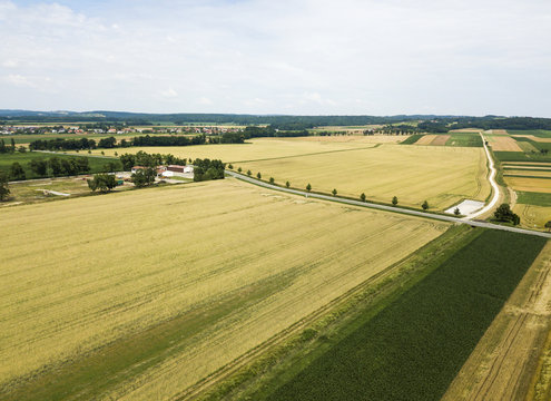Prekmurje bilder – Bläddra bland 430 stockfoton, vektorer och videor ...