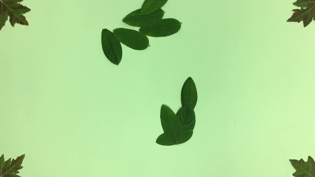 Ojas Images – Browse 445 Stock Photos, Vectors, and Video | Adobe Stock