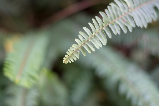 Tammarine Images – Browse 9 Stock Photos, Vectors, and Video | Adobe Stock