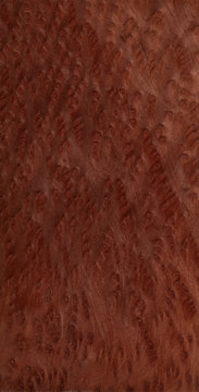 Haute-Definition Bilder – Durchsuchen 2,624 Archivfotos, Vektorgrafiken ...