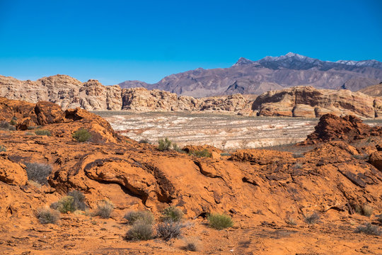 Khota Images – Browse 54 Stock Photos, Vectors, and Video | Adobe Stock