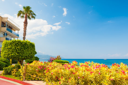 Seafront Images – Browse 86,656 Stock Photos, Vectors, and Video ...