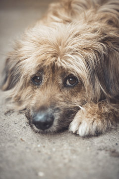 Disownment Bilder – Durchsuchen 495 Archivfotos, Vektorgrafiken und ...