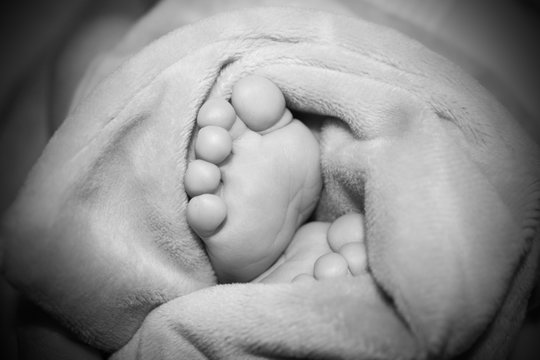 Petons Images – Browse 74 Stock Photos, Vectors, and Video | Adobe Stock