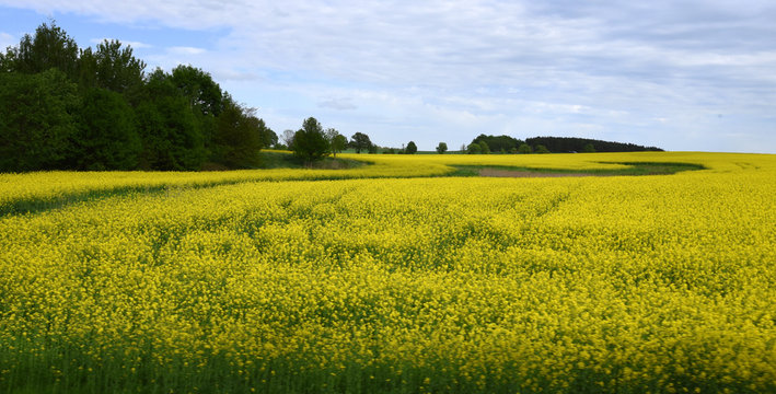 รูปภาพRapssaat – เลือกดูภาพถ่ายสต็อก เวกเตอร์ และวิดีโอ93 | Adobe Stock