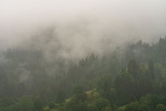 「Nebelig」の写真素材 | 15,961件の無料イラスト画像 | Adobe Stock