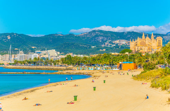 「Palma」の画像 - 103,545 件の Stock 写真、ベクターおよびビデオ | Adobe Stock 「Palma」の画像 - 103,545 件の Stock 写真、ベクターおよびビデオ | Adobe Stock