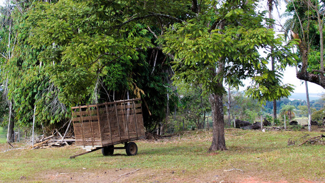 Pacato Images – Browse 80 Stock Photos, Vectors, and Video | Adobe Stock