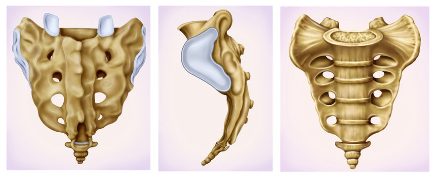 Sacral Promontory Lateral View