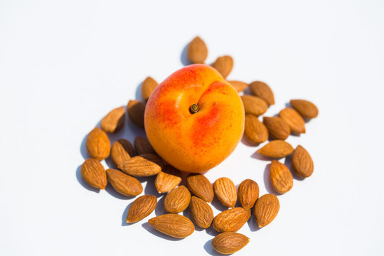 รูปภาพPersipan – เลือกดูภาพถ่ายสต็อก เวกเตอร์ และวิดีโอ144 | Adobe Stock