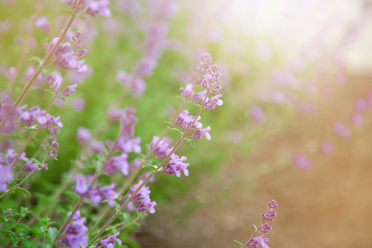 รูปภาพHeyan – เลือกดูภาพถ่ายสต็อก เวกเตอร์ และวิดีโอ88 | Adobe Stock