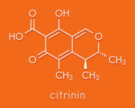 Citrinin Images – Browse 29 Stock Photos, Vectors, and Video | Adobe Stock