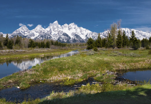 Gtnp Images – Browse 114 Stock Photos, Vectors, and Video | Adobe Stock