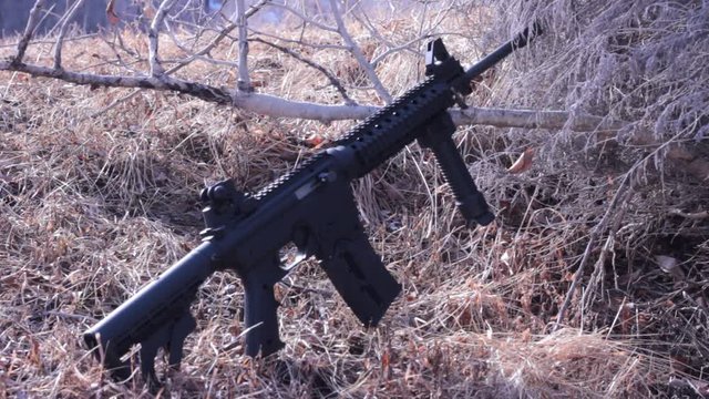 "Ar 15" Images – Browse 651 Stock Photos, Vectors, and Video | Adobe Stock