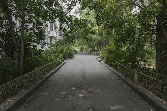 Obrazy (Sovok) — zdjęcia, wektory i wideo bez tantiem (7) | Adobe Stock