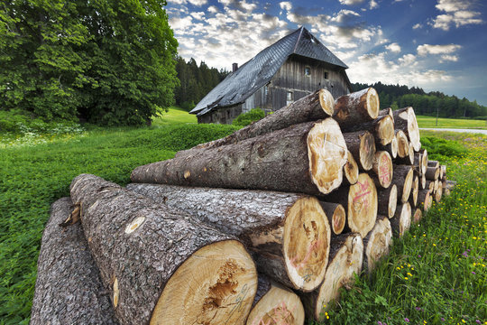 รูปภาพHolzverkauf – เลือกดูภาพถ่ายสต็อก เวกเตอร์ และวิดีโอ246 | Adobe Stock