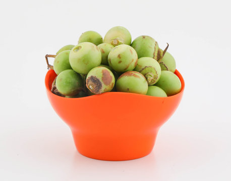 รูปภาพGunda – เลือกดูภาพถ่ายสต็อก เวกเตอร์ และวิดีโอ92 | Adobe Stock