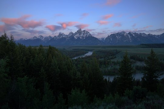 Rumin Gong photos, images, assets | Adobe Stock