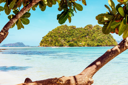 รูปภาพTropicalclimate – เลือกดูภาพถ่ายสต็อก เวกเตอร์ และวิดีโอ242 ...