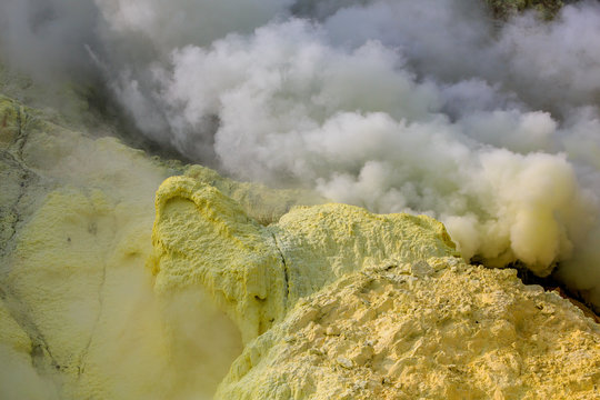 Gleb Tarassenko photos, images, assets | Adobe Stock