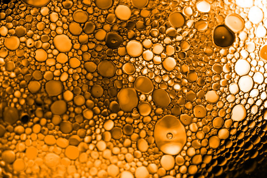 รูปภาพFermentation – เลือกดูภาพถ่ายสต็อก เวกเตอร์ และวิดีโอ174,600 ...