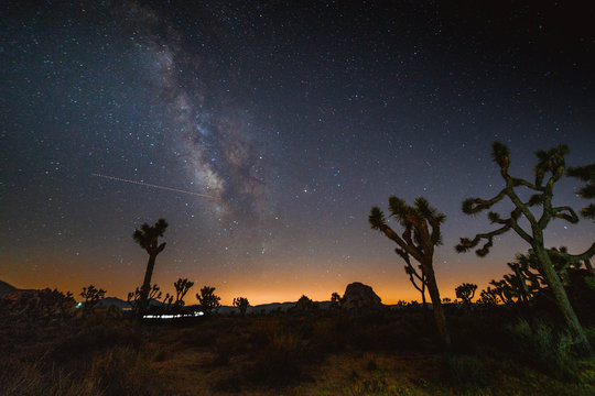 Joshua Tree Night Images – Browse 1,964 Stock Photos, Vectors, and ...