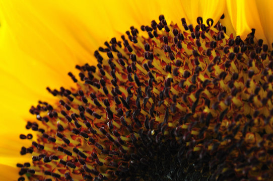 Rumin Gong photos, images, assets | Adobe Stock