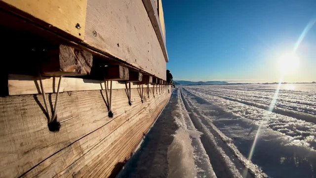 Qamutik Images – Parcourir 283 le catalogue de photos, vecteurs et ...