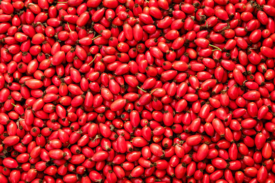 รูปภาพHiffen – เลือกดูภาพถ่ายสต็อก เวกเตอร์ และวิดีโอ326 | Adobe Stock