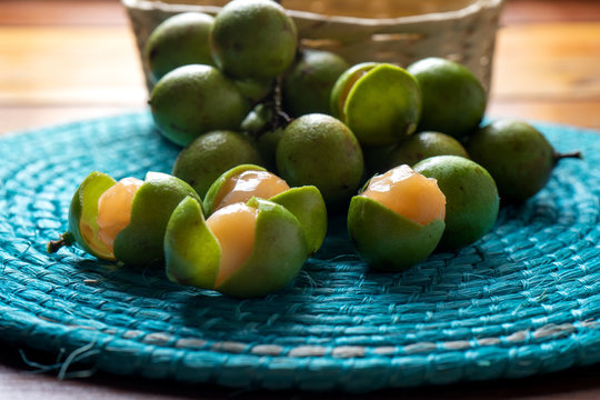 Kinnip bilder – Bläddra bland 3,220 stockfoton, vektorer och videor ...