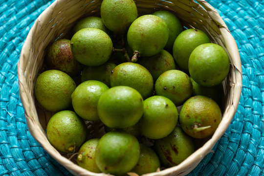 「Anoncillo」の写真素材 | 19件の無料イラスト画像 | Adobe Stock