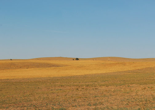 รูปภาพFeild – เลือกดูภาพถ่ายสต็อก เวกเตอร์ และวิดีโอ4,460 | Adobe Stock