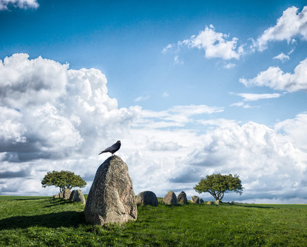 รูปภาพNobbin – เลือกดูภาพถ่ายสต็อก เวกเตอร์ และวิดีโอ73 | Adobe Stock