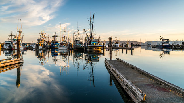 Bellingham Washington Bilder – Durchsuchen 2,358 Archivfotos ...