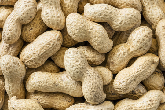 "Peanuts In Shell" Images – Browse 368 Stock Photos, Vectors, and Video ...