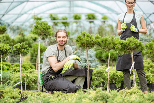 Grower Images – Browse 1,616,322 Stock Photos, Vectors, and Video ...