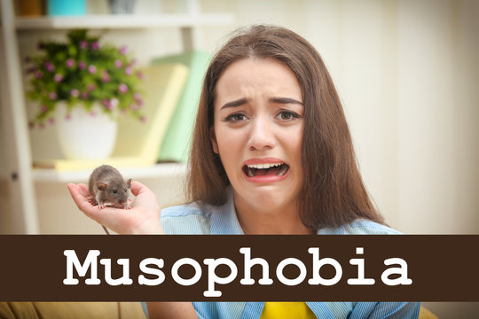 Musophobia Bilder – Durchsuchen 186 Archivfotos, Vektorgrafiken und ...