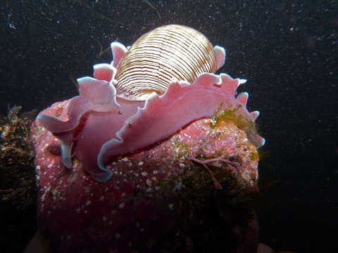 รูปภาพPhysis – เลือกดูภาพถ่ายสต็อก เวกเตอร์ และวิดีโอ409 | Adobe Stock