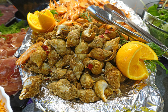 「Bulots」の画像 - 389 件の Stock 写真、ベクターおよびビデオ | Adobe Stock