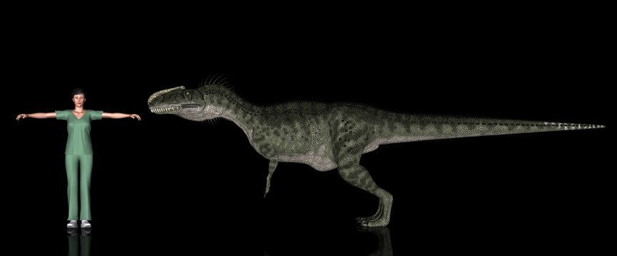「Jiangjunmiaosaurus」の写真素材 | 640件の無料イラスト画像 | Adobe Stock