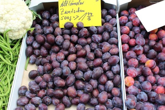 Zwetschen bilder – Bläddra bland 396 stockfoton, vektorer och videor ...