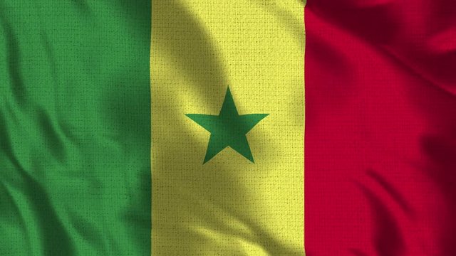 Senegal Flag Images – Browse 22,048 Stock Photos, Vectors, and Video ...